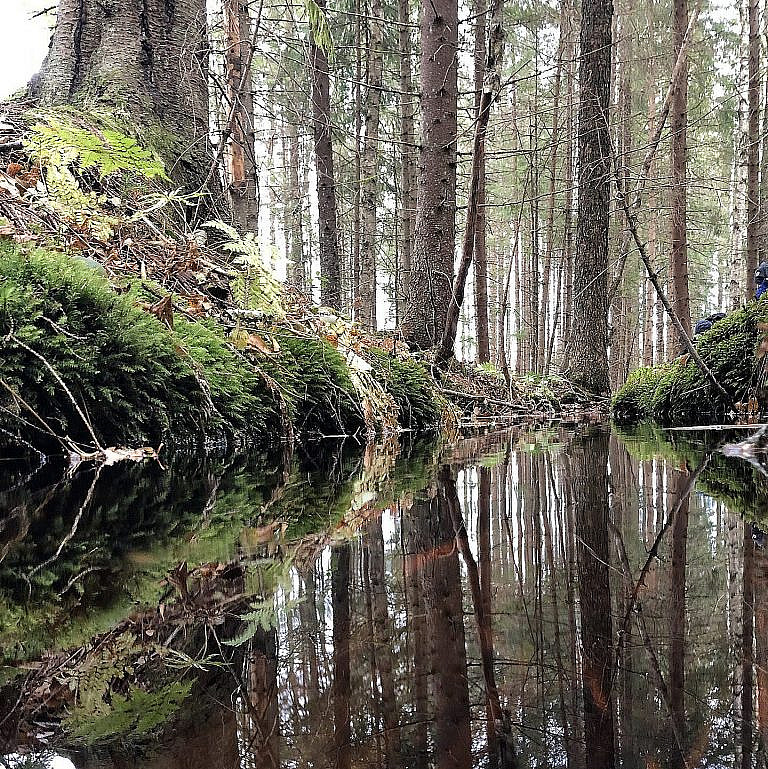 Camping im Glaskogen Naturresverat im Herbst - Hej Skandinavien